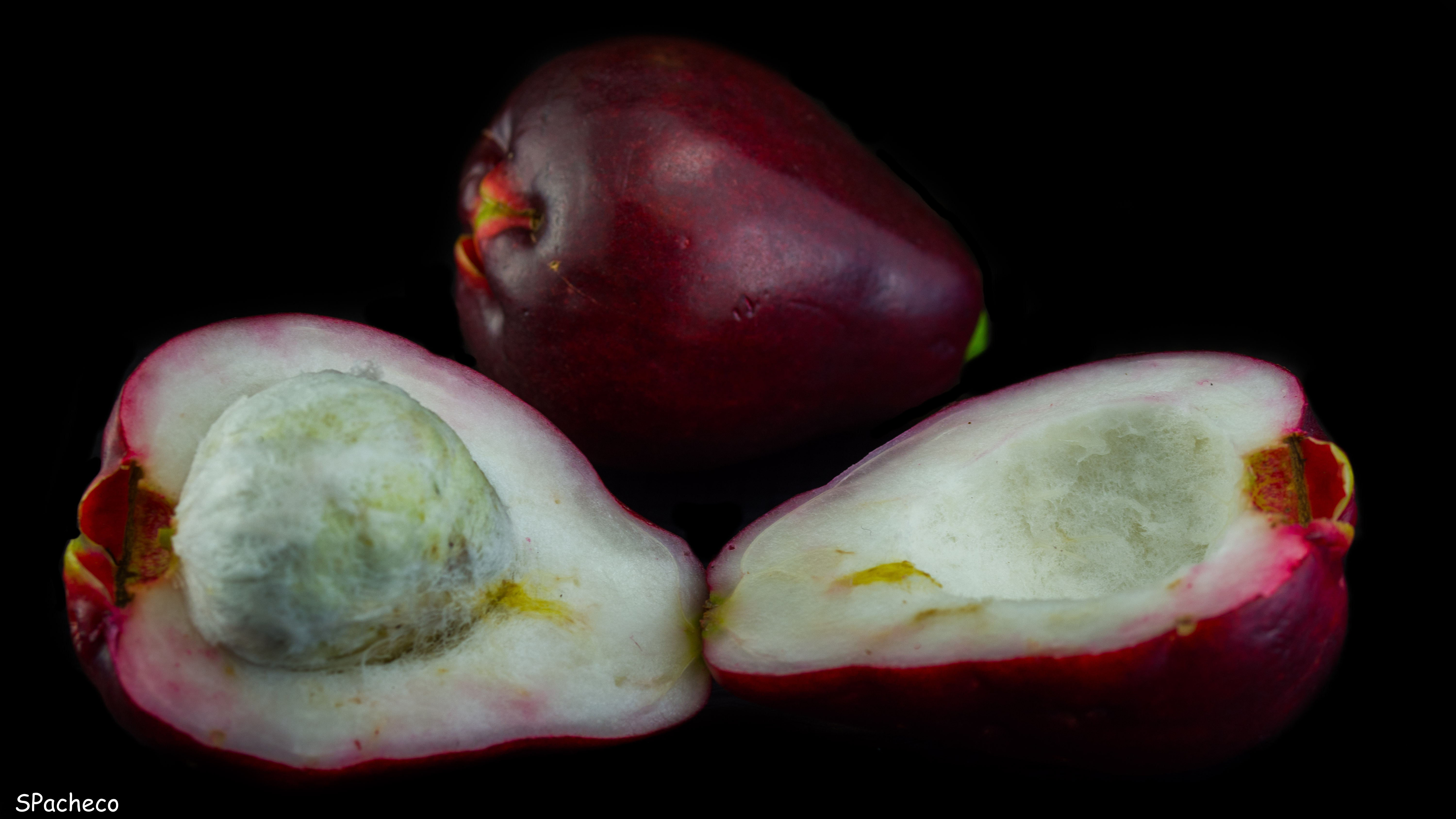 Fotos de Jambo- Syzygium malaccense